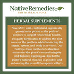 improve kids' eating habits naturally