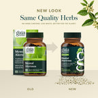 improve memory with ginkgo biloba