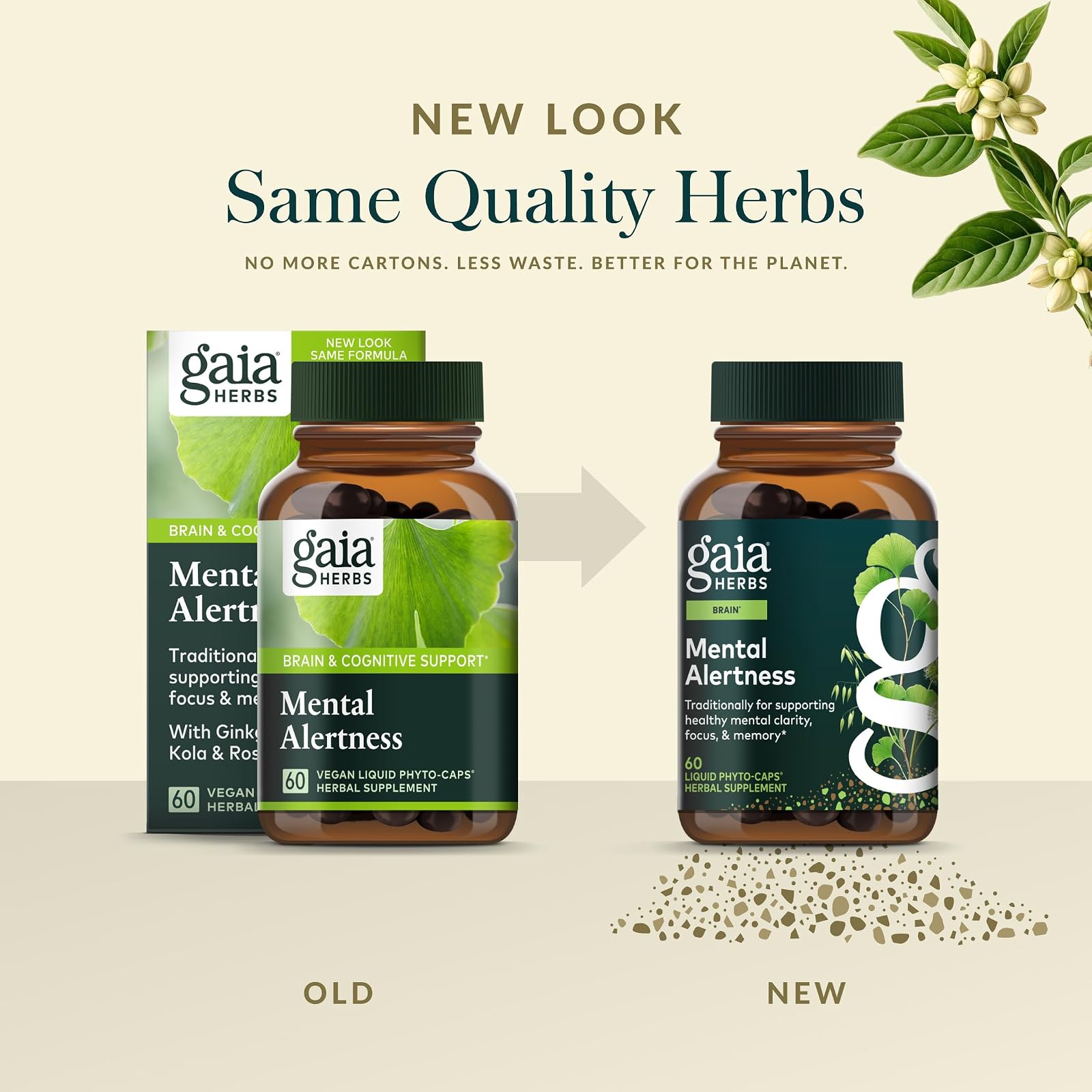 improve memory with ginkgo biloba