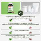 improve memory with lion's mane