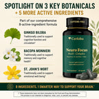 Improve mental clarity with Ginkgo