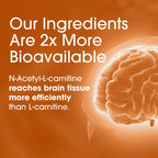 improve mental performance with ginkgo