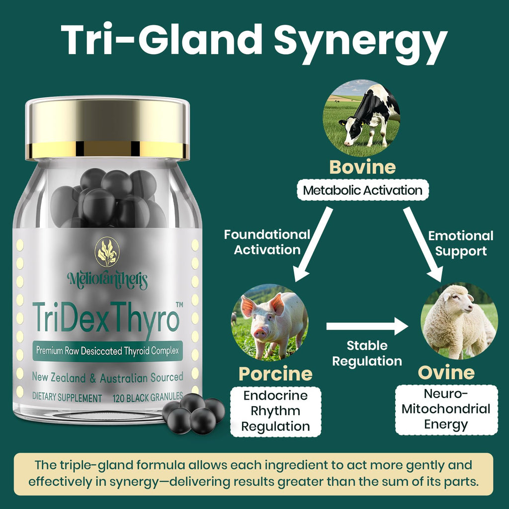 improve metabolism with TriDexThyro