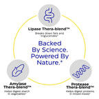 improve nutrient absorption with enzymes
