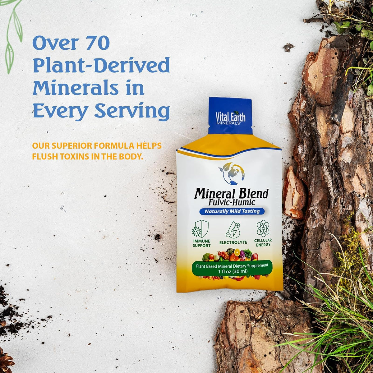 improve nutrient absorption with minerals