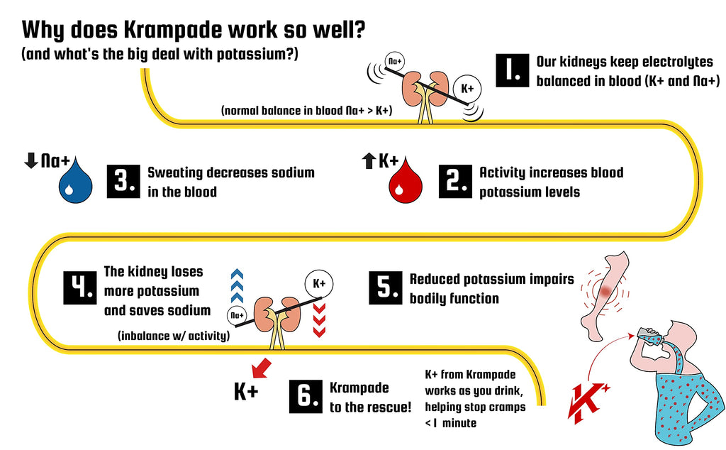 improve performance with potassium drink