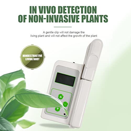 improve plant health with chlorophyll