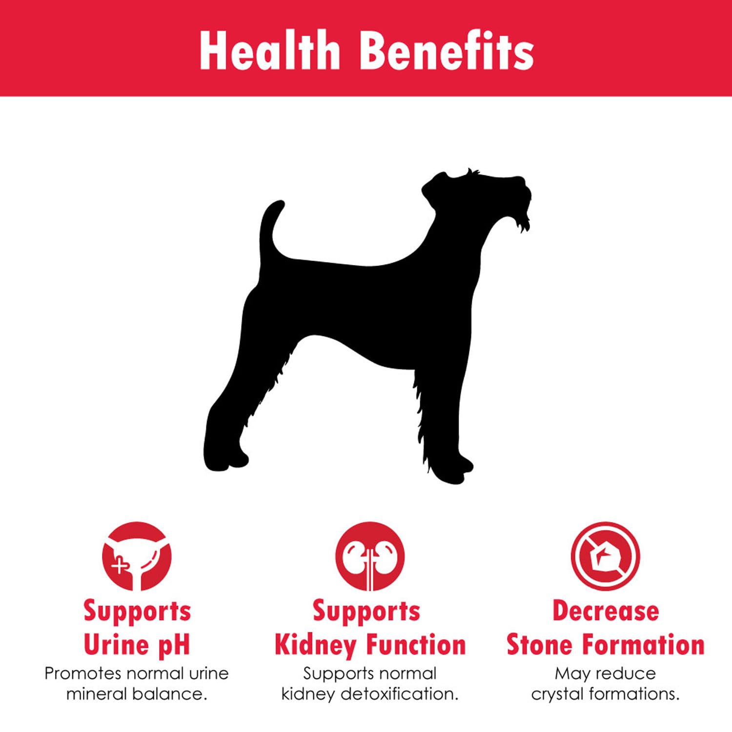 improve potassium intake in pets