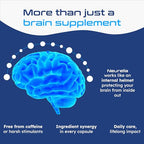 Improve productivity with Neurella