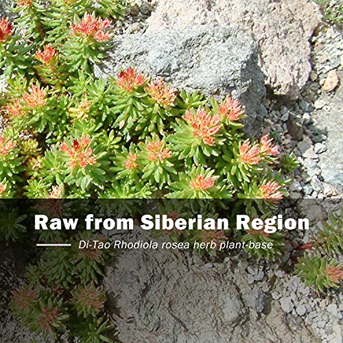 improve sleep with Rhodiola Rosea extract