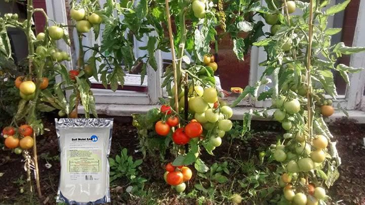 improve soil potassium content