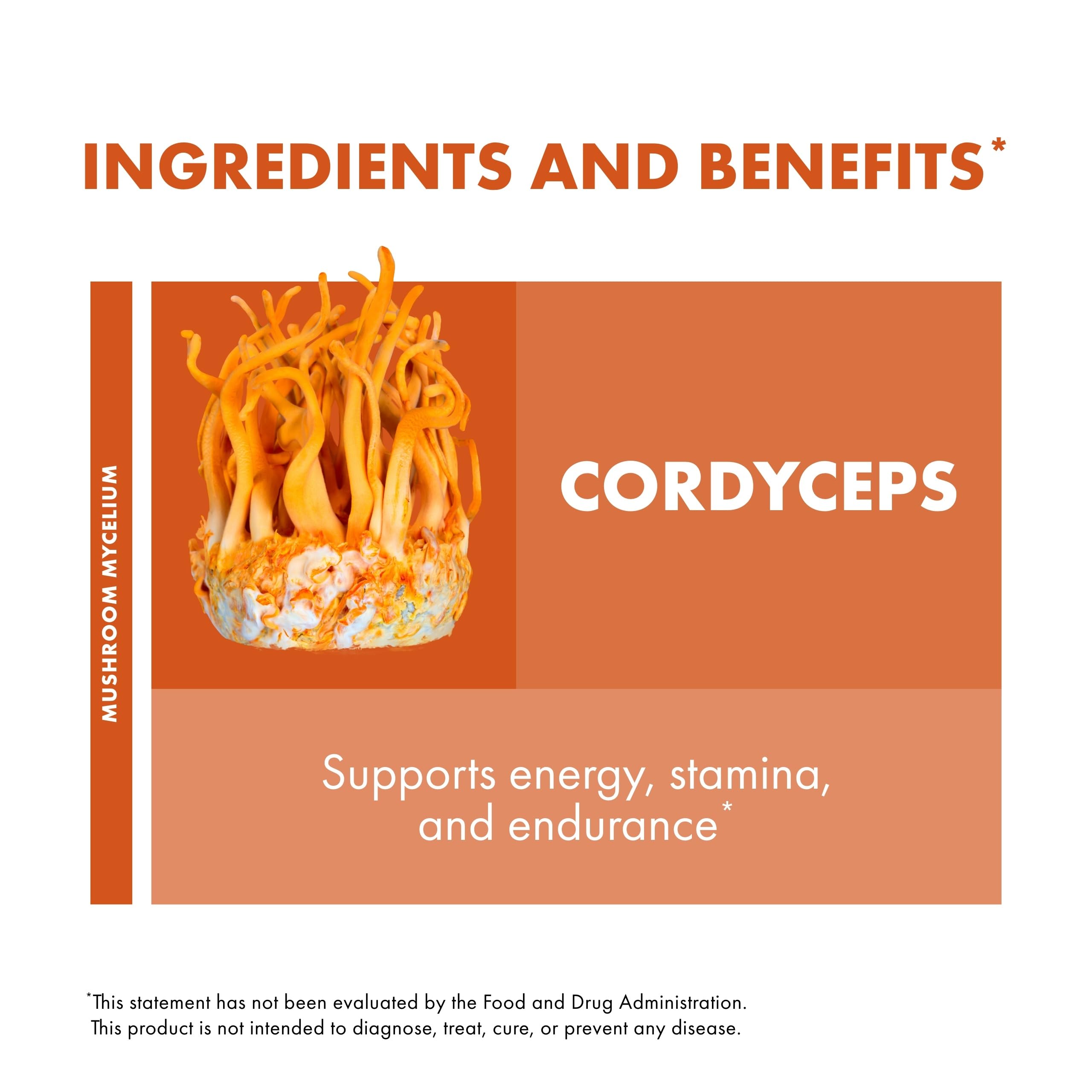 improve stamina with Host Defense Cordyceps