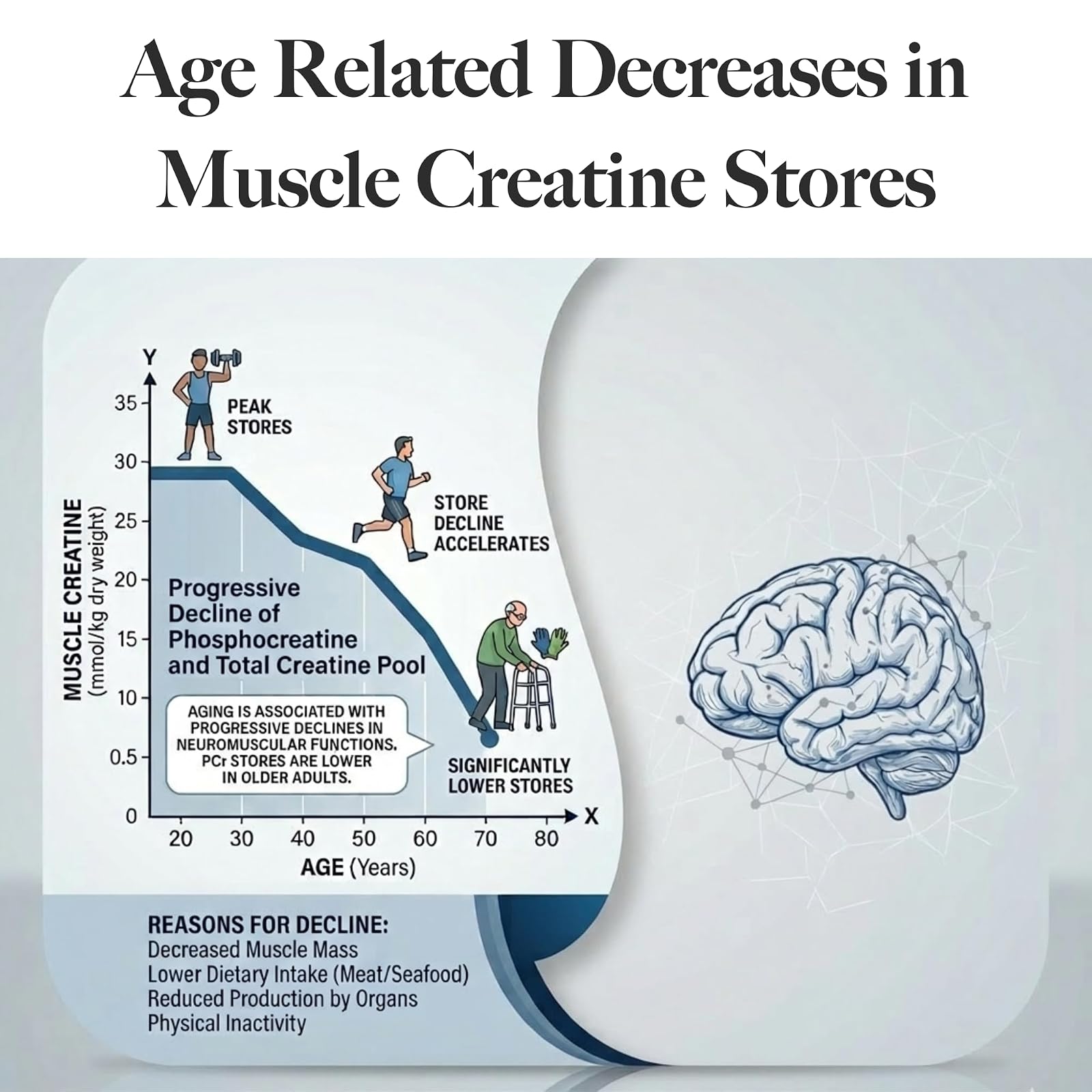 improve strength with CreaBrainIQ creatine