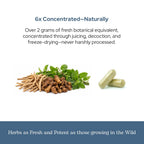 improve vitality with adrenal support