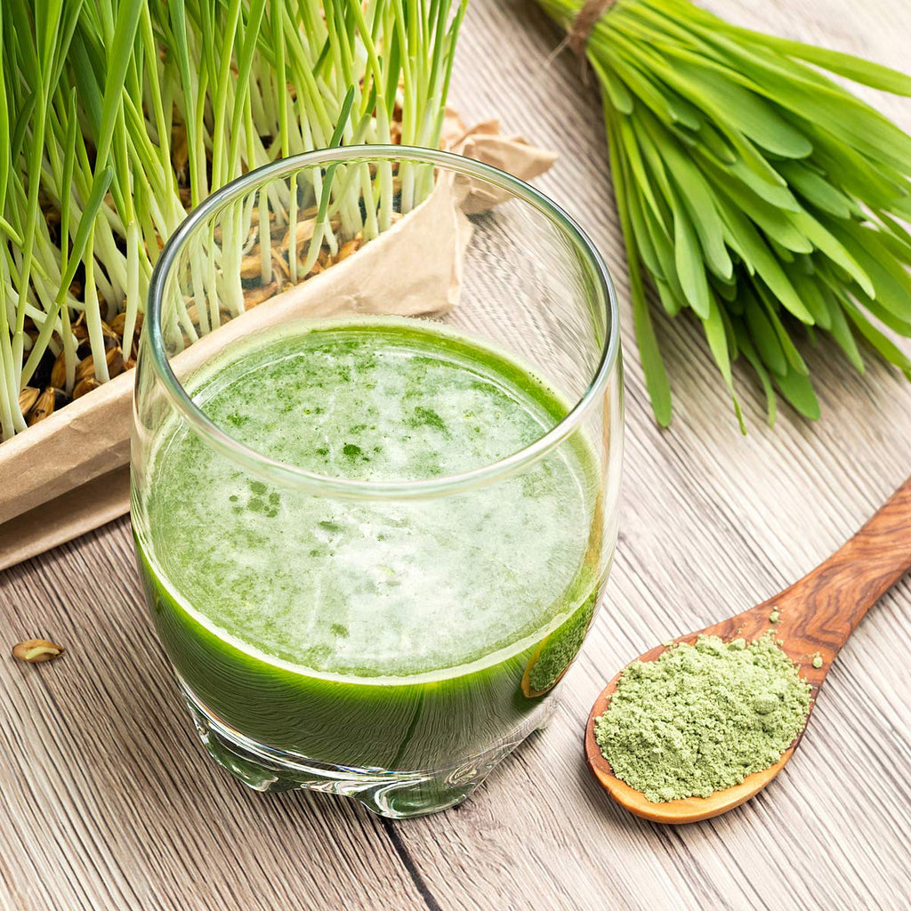 improve wellness with barley grass