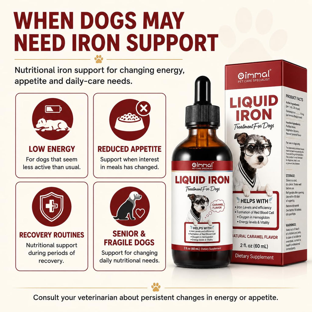 improve your dog's blood health