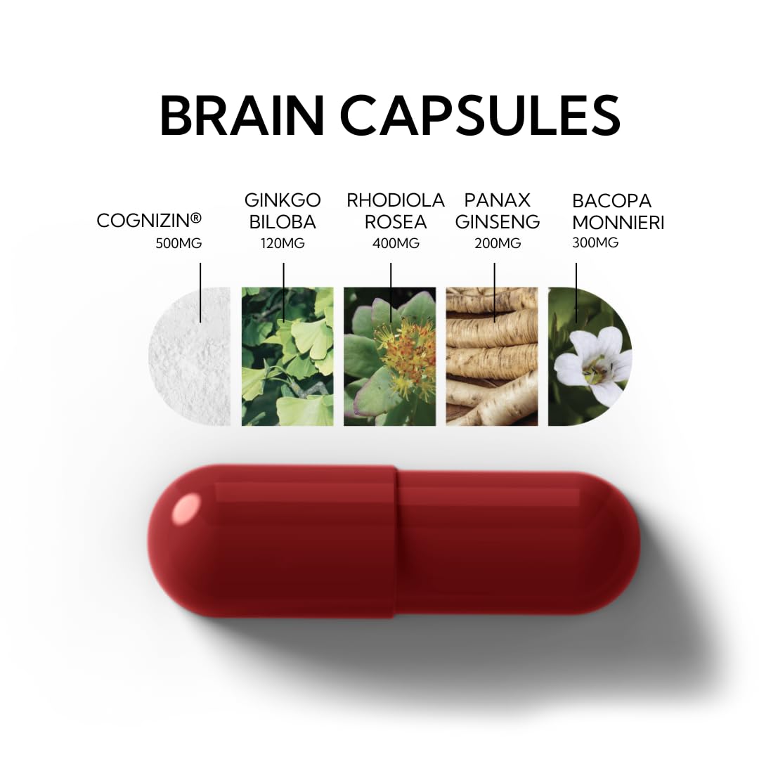 improves mental performance daily