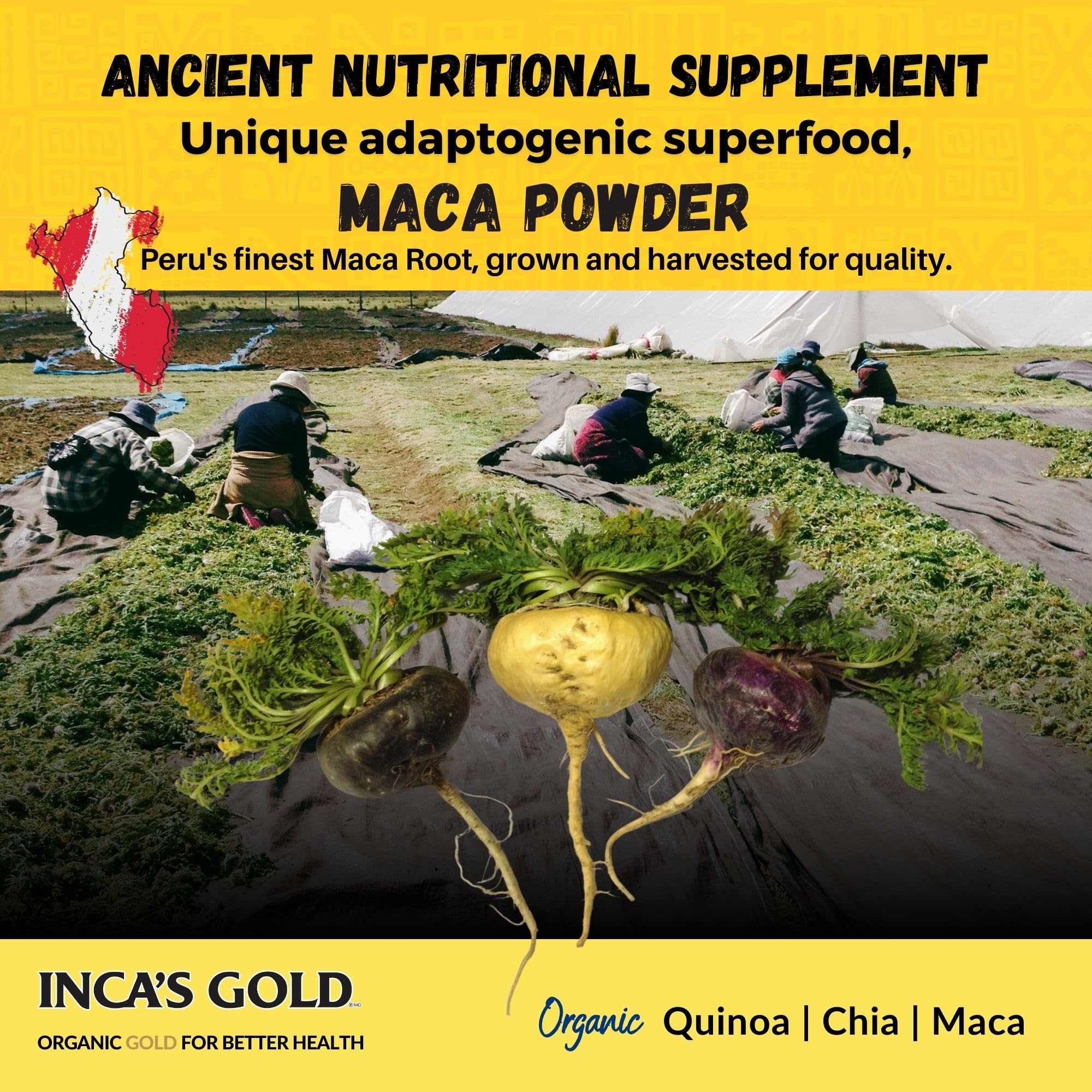 Inca's Gold organic health benefits