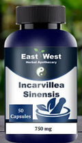 Incarvillea Sinensis Extract health benefits