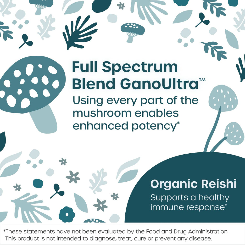 indulge in healthy mushroom chocolate
