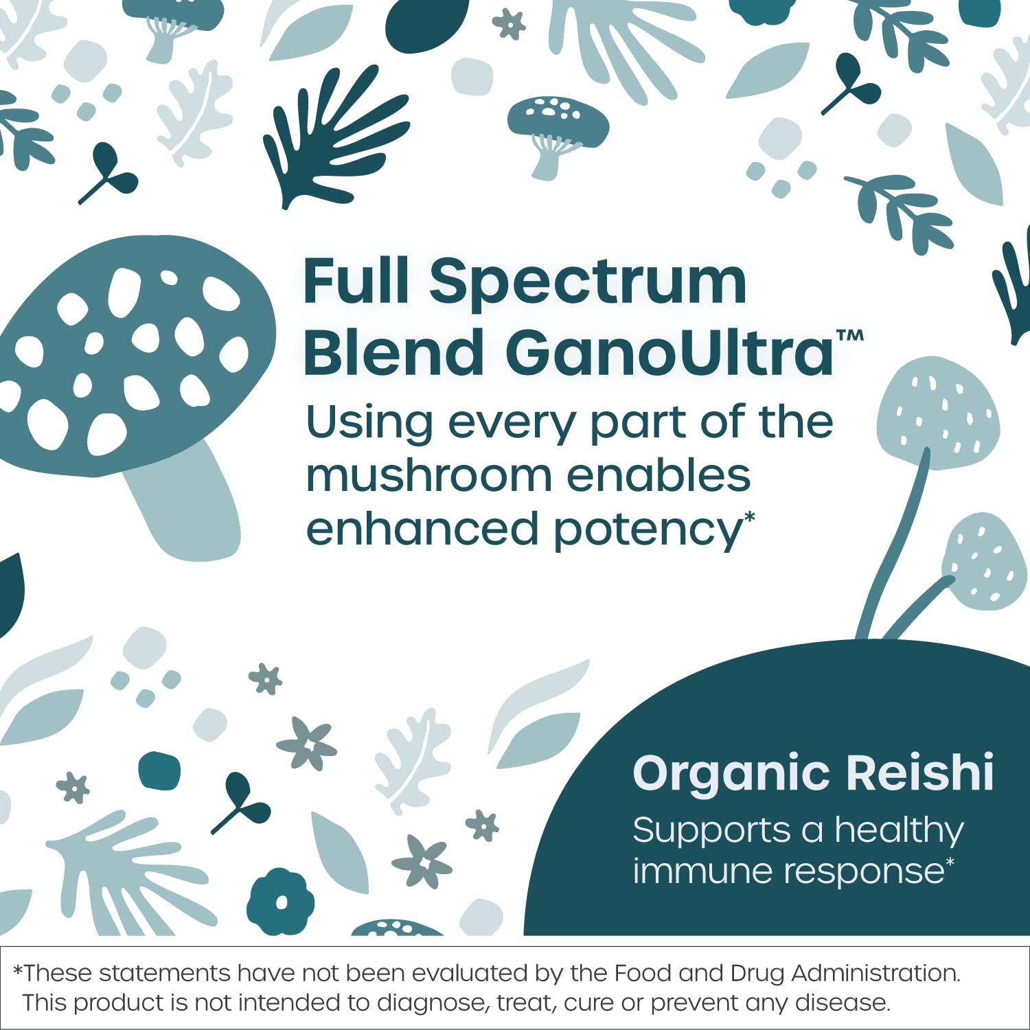 indulge in healthy mushroom chocolate