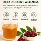 Infuse kombucha gummies for daily wellness