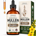 Inhale Mullein Drops for respiratory health
