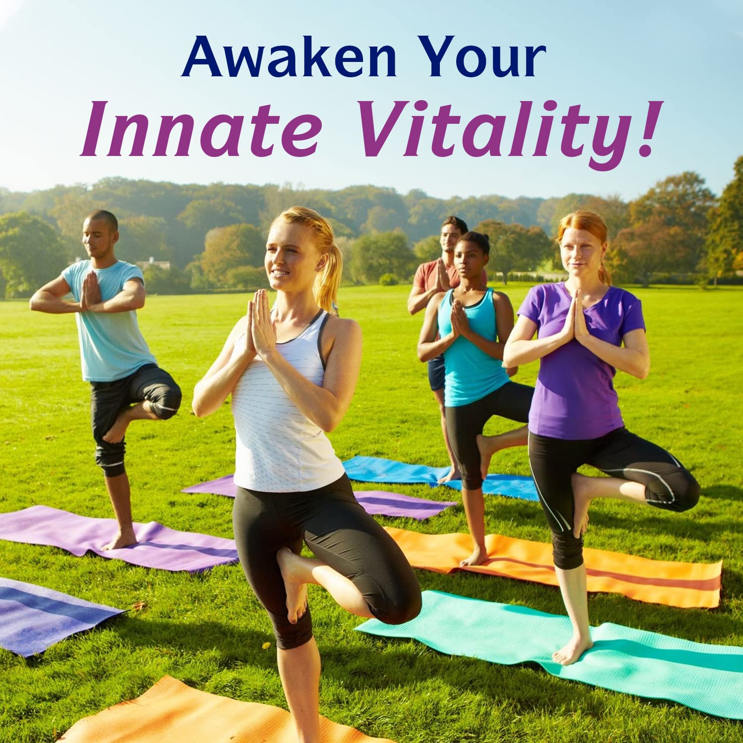 Innate Vitality herbal remedy capsules
