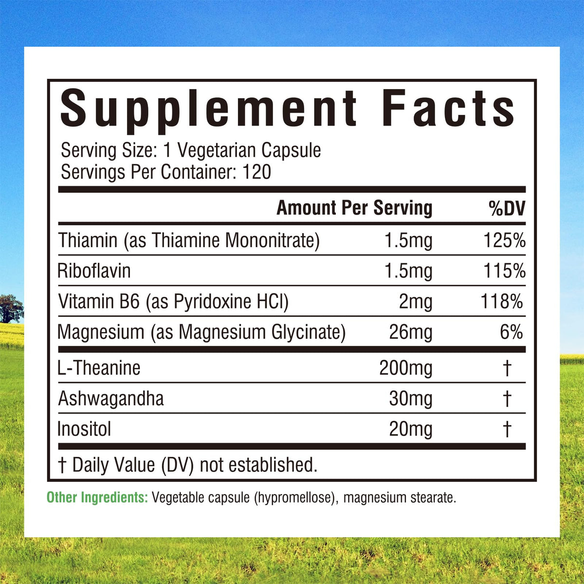 Innate Vitality l-theanine capsules