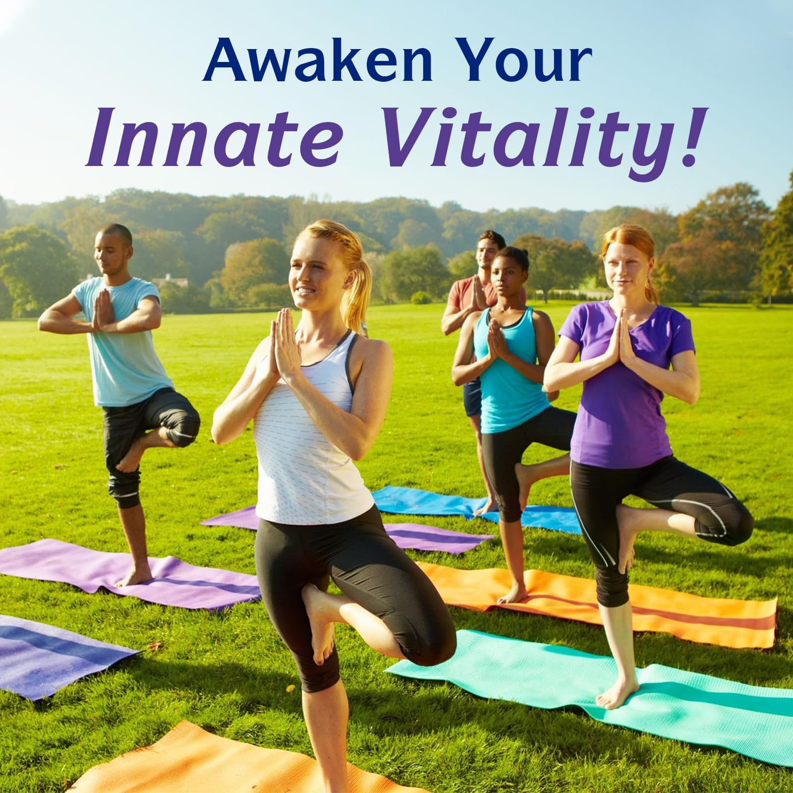 Innate Vitality magnesium for active lifestyles