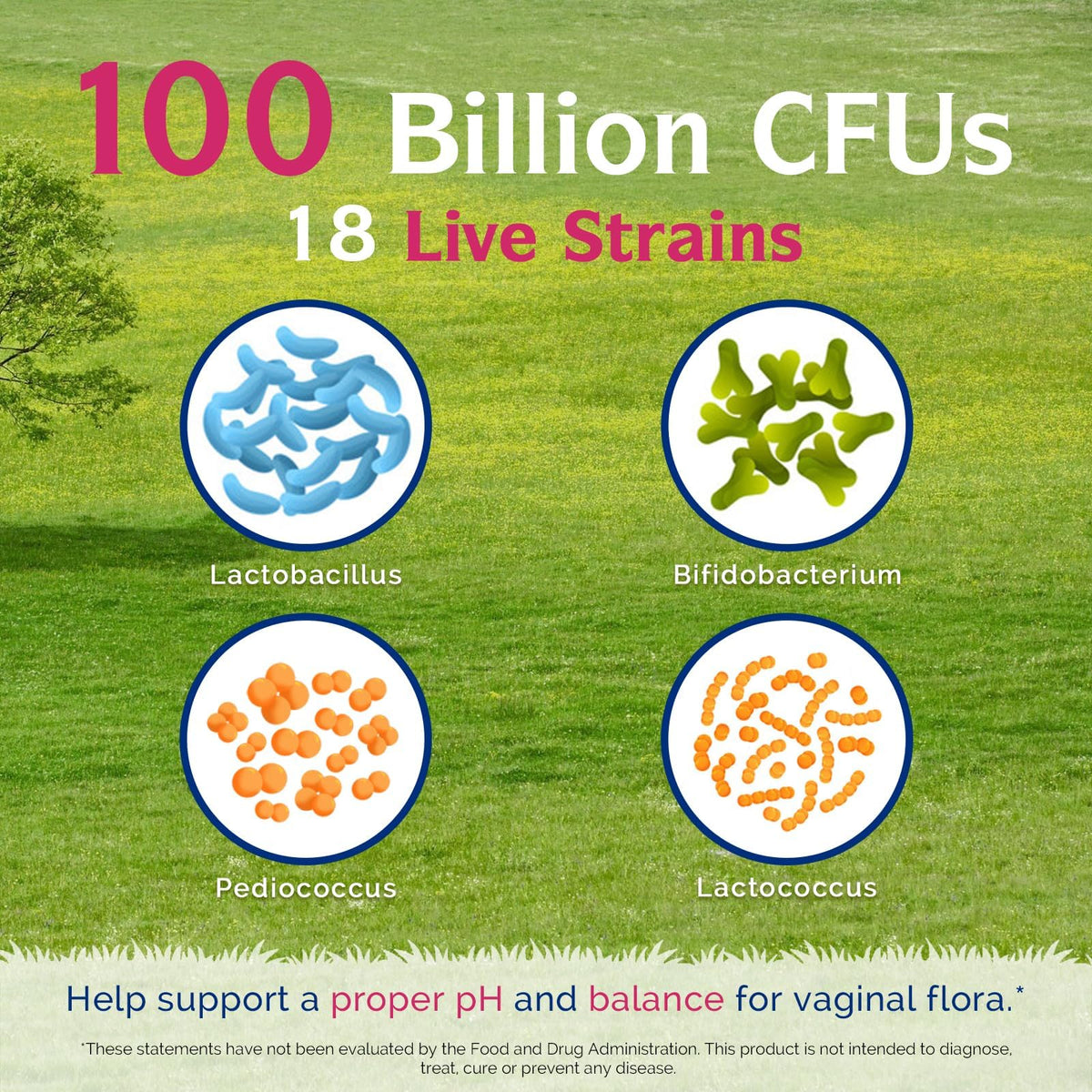 Innate Vitality probiotics capsules