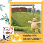 instant ginger tea for immunity