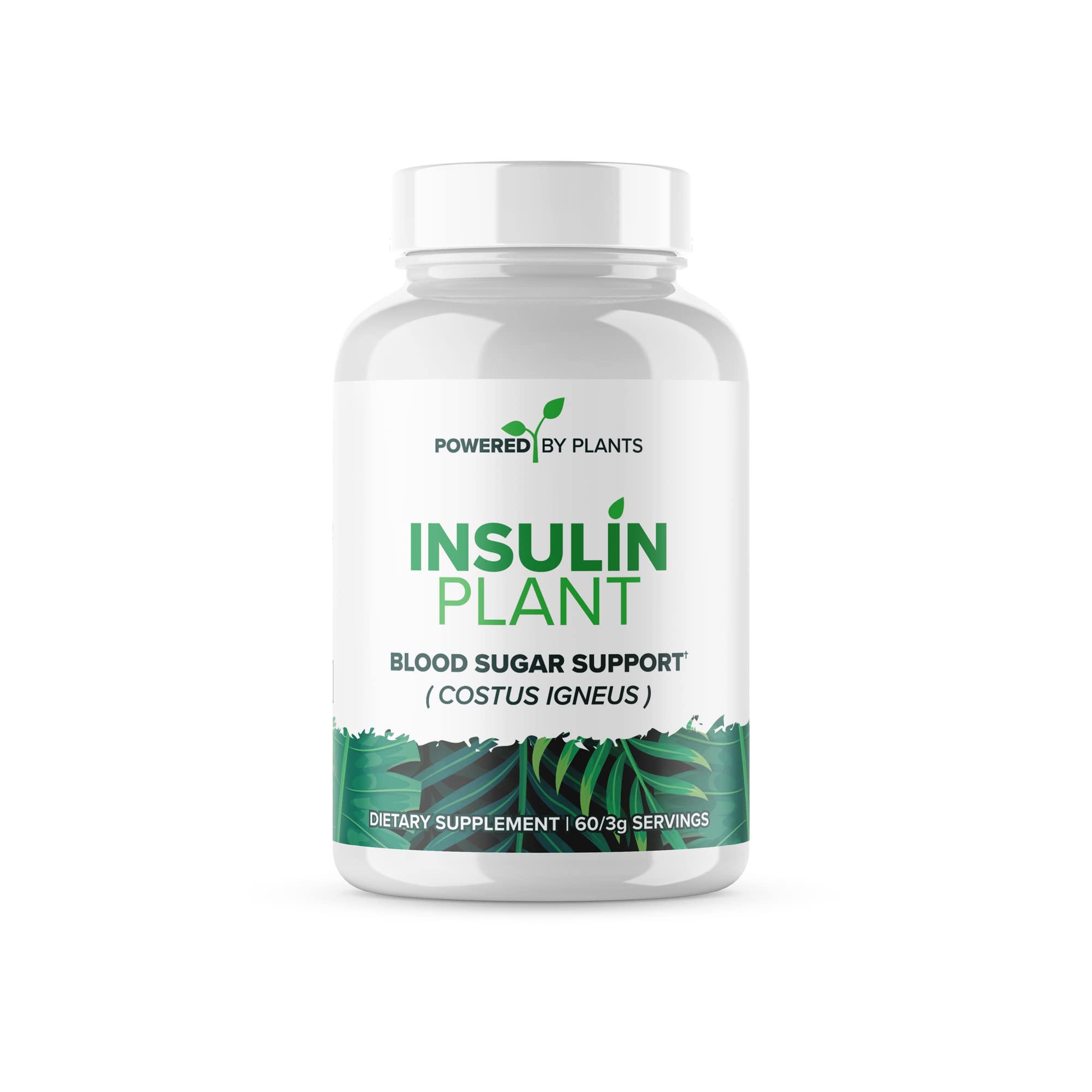 Insulin plant capsules for diabetes support