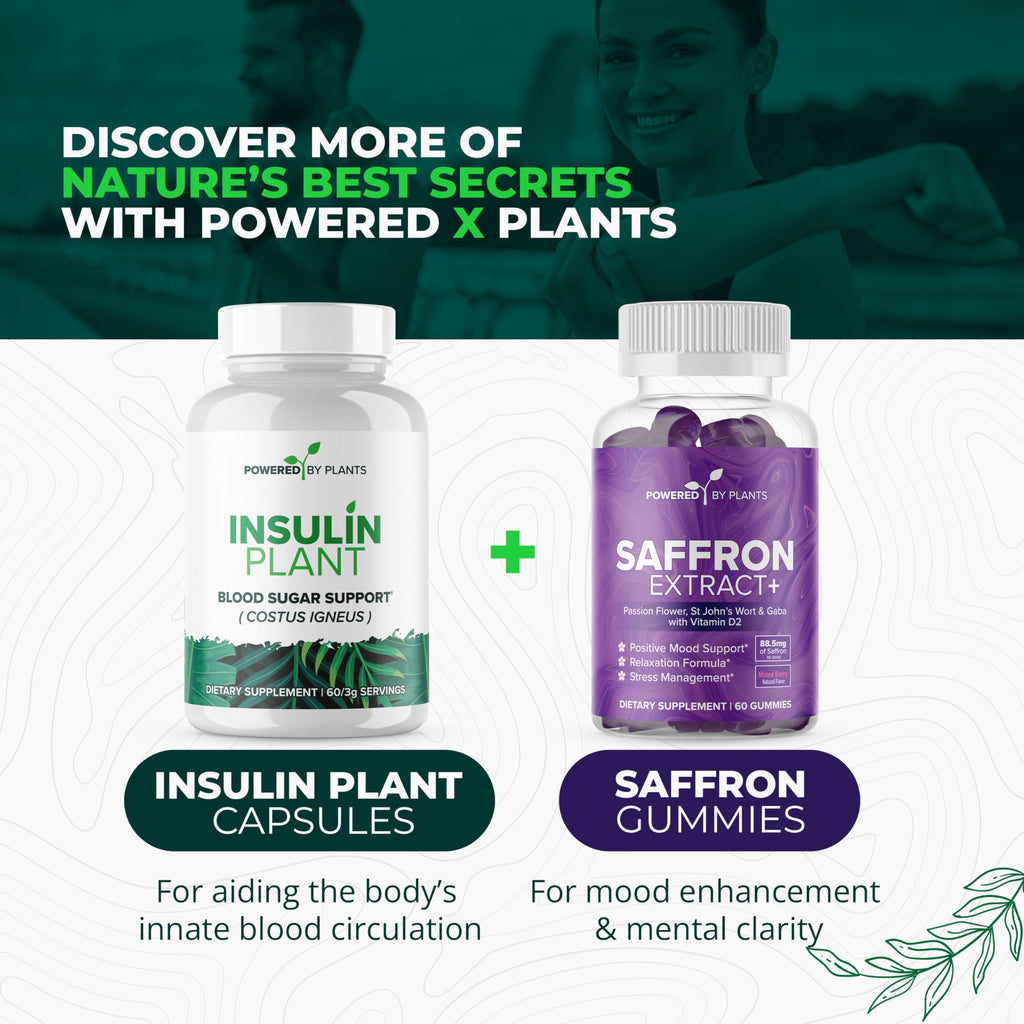 Insulin plant capsules for digestive health
