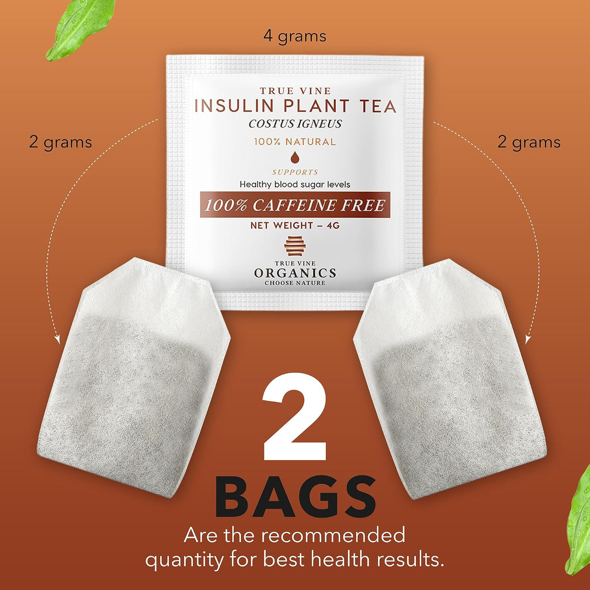 insulin plant herbal detox tea