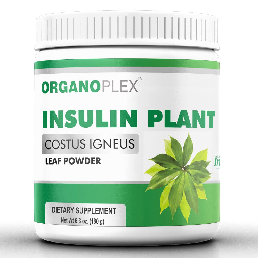 insulin plant powder for diabetes management