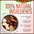 intention simmer pot for wellness
