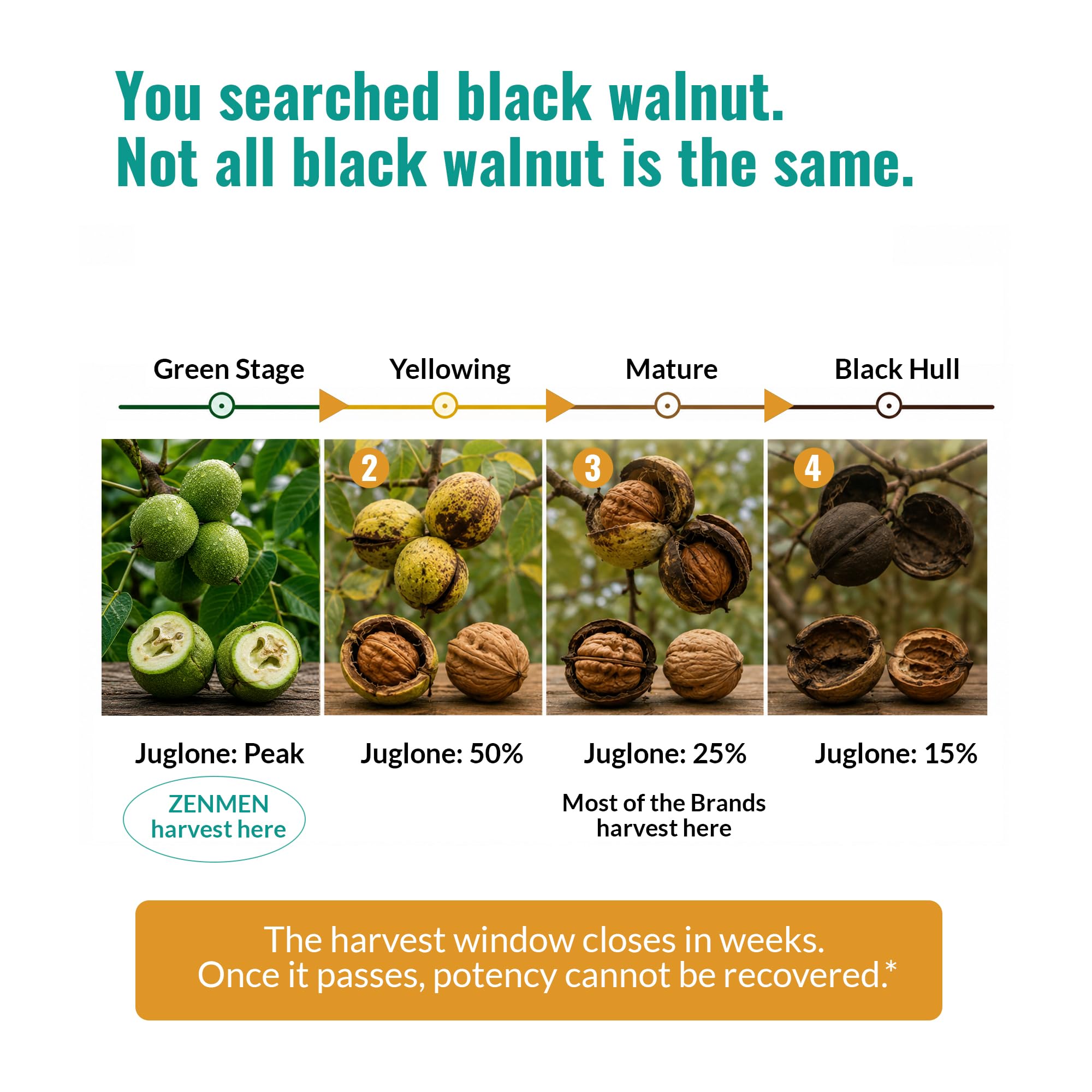 Intestinal cleanse herbal supplement Canada