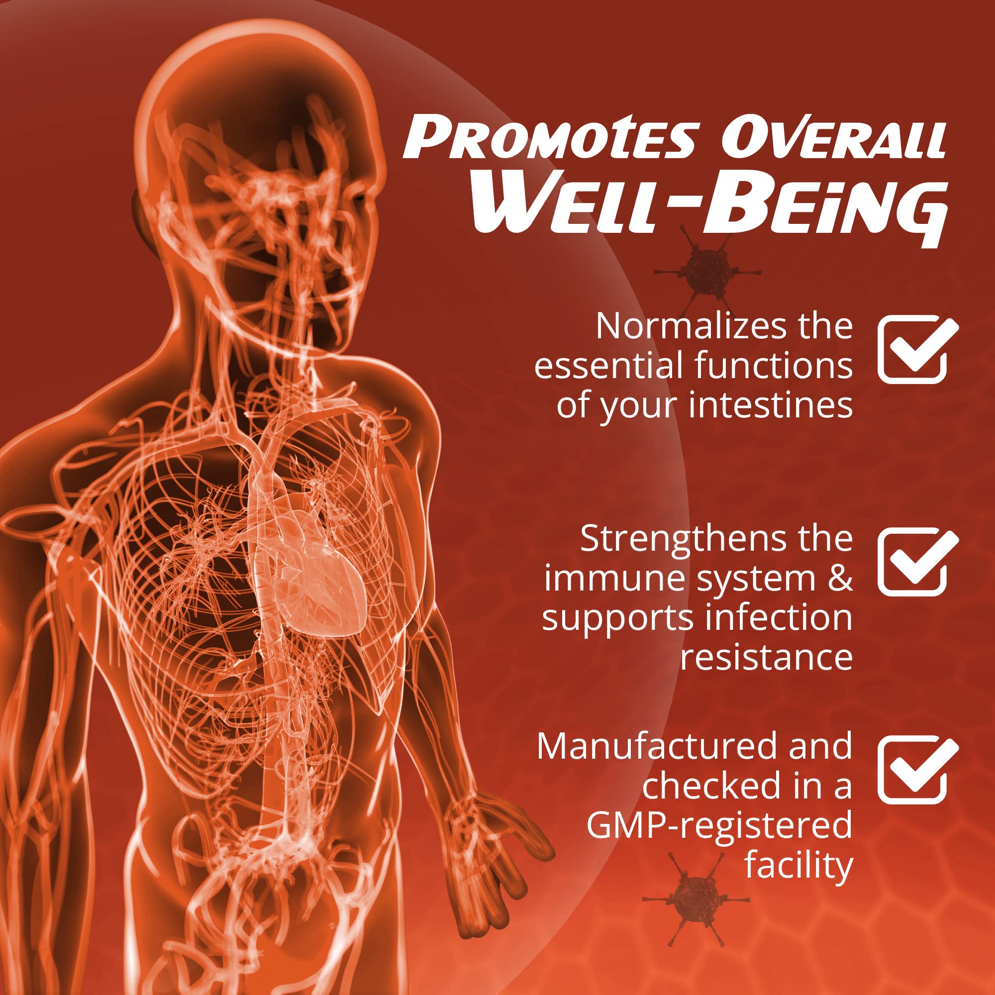 intestine health with olive leaf supplement