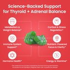 Iodine enriched trace minerals gummies