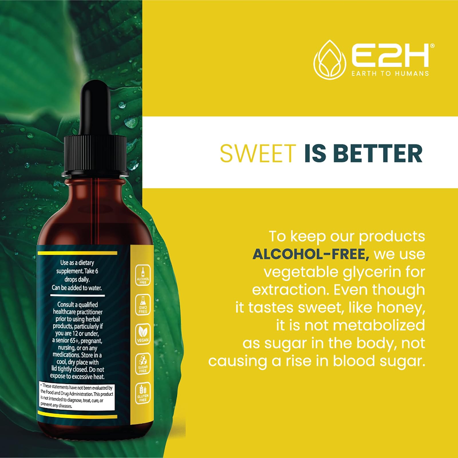 iodine for overall wellness support