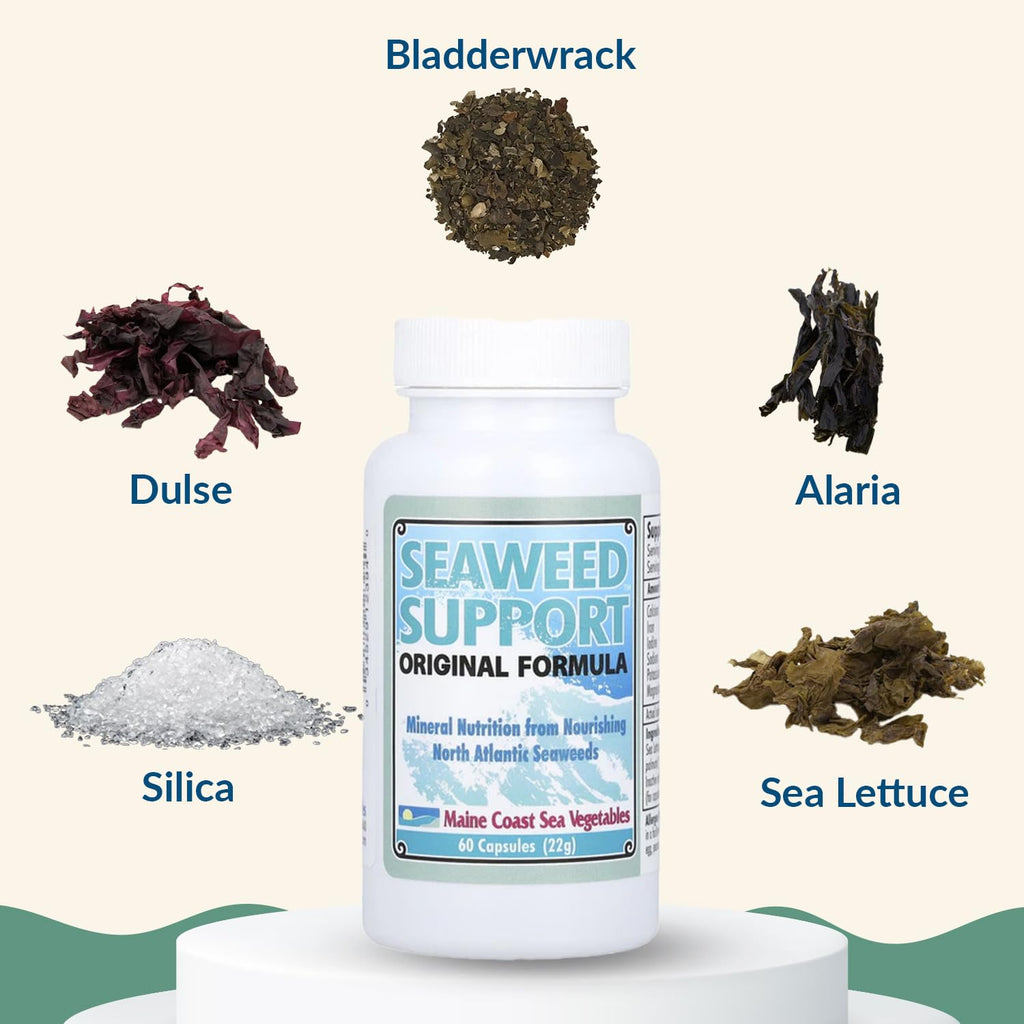 iodine-rich seaweed blend capsules