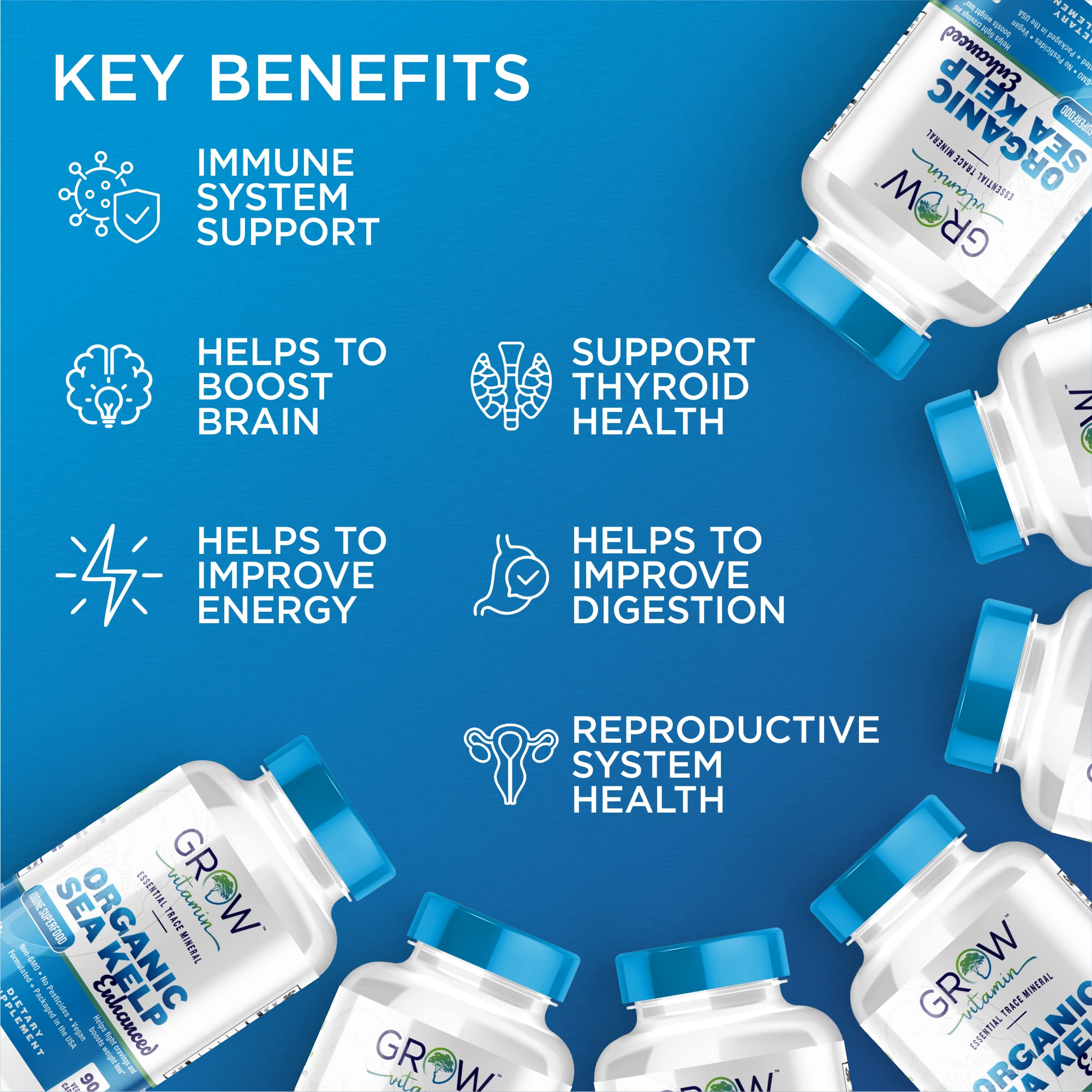 iodine-rich supplement for energy