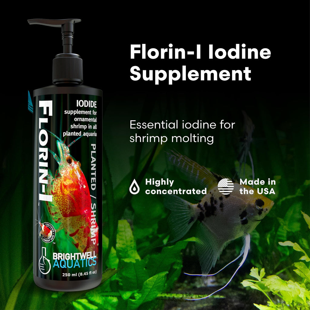 Iodine solution for crustacean vitality