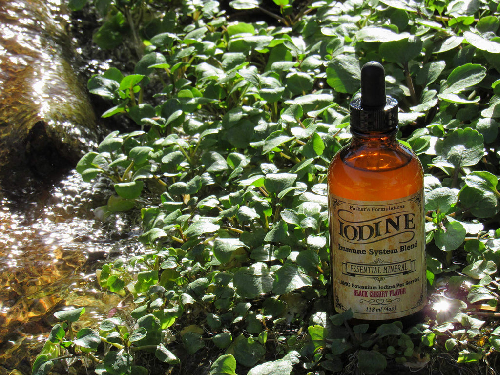 iodine supplement for holistic wellness