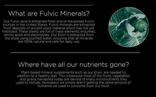 Ionic trace minerals for balanced electrolytes