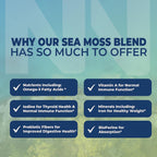 Irish sea moss capsules for digestion