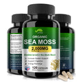 Irish sea moss capsules for immunity