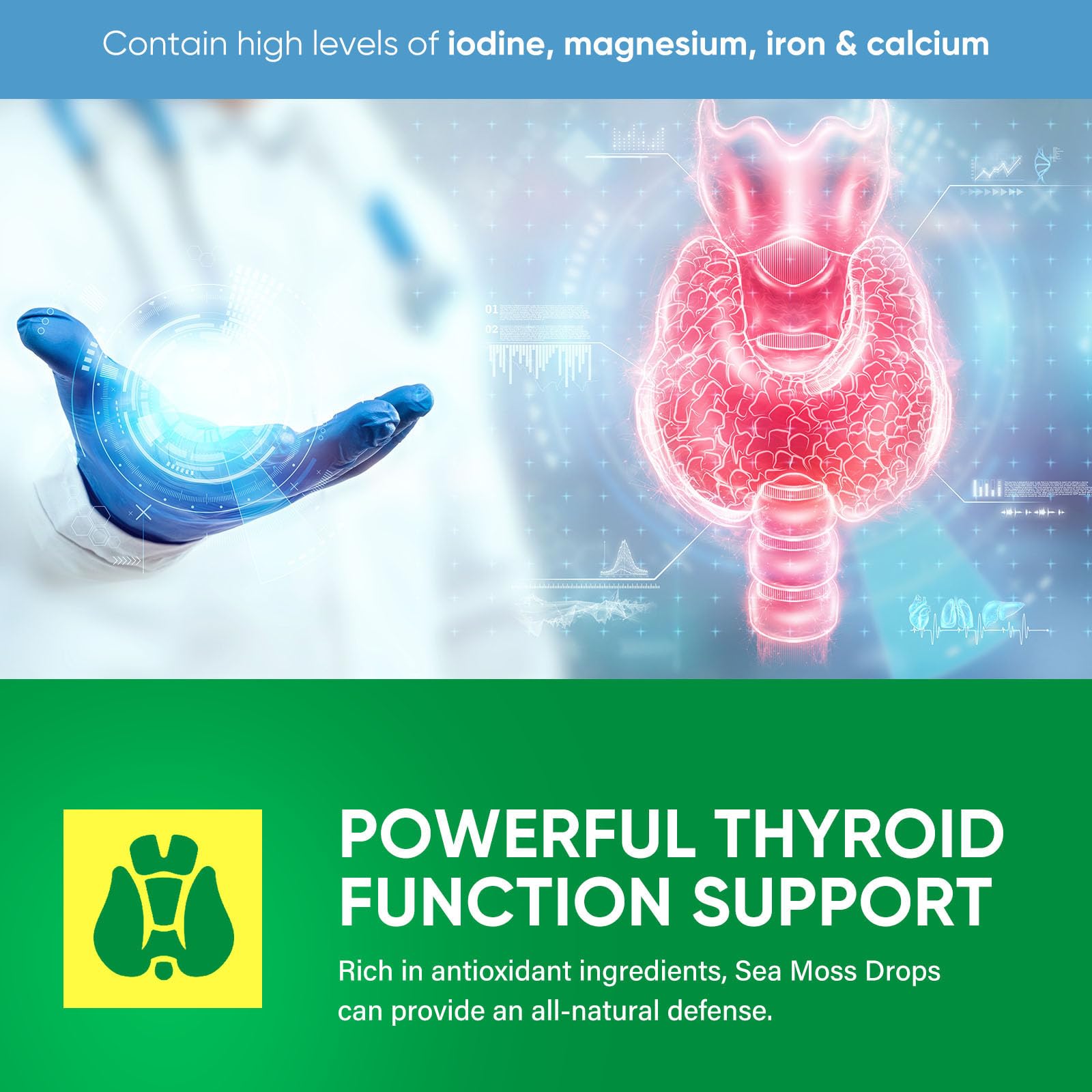 Irish sea moss extract features