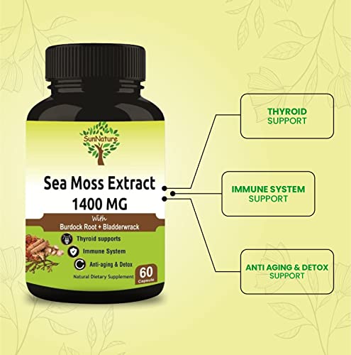 Irish Sea Moss for digestive wellness